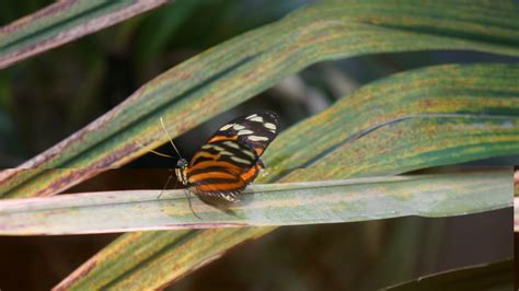 Image result for Fix Connection Jpej IMG