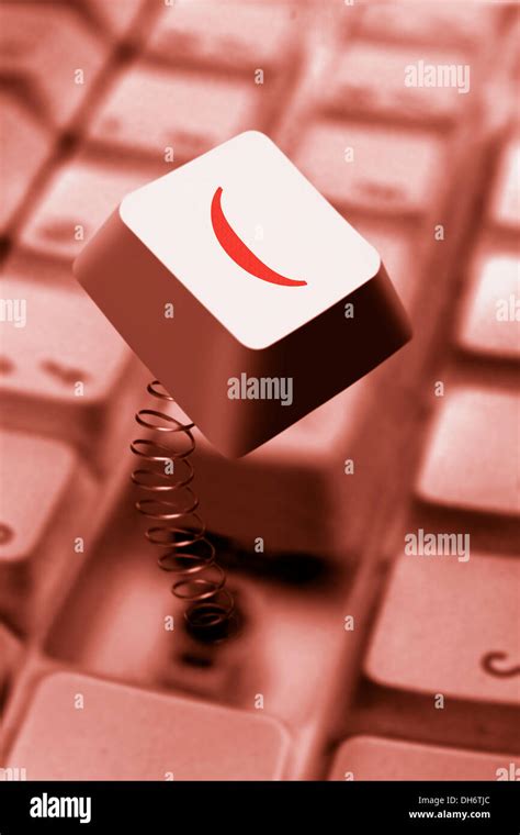 Image result for Springing Upseer