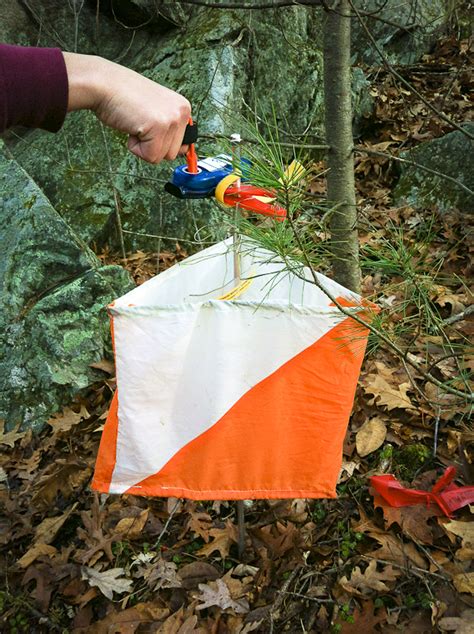 Image result for Using a Map