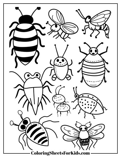 Image result for Insects Coloring Pages