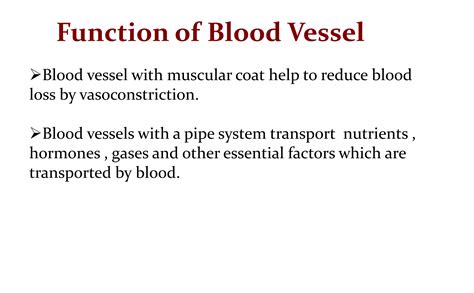 Image result for Normal Haemostasis