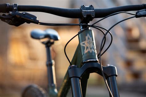 Image result for Rear Triangle Bike Frame Protection