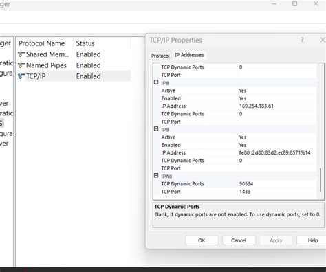Image result for Code Local SQL Database No Download Required