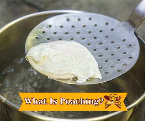 Image result for Poaching of Fish Cooking Methods