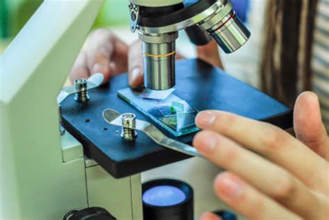 Image result for Preparing Simple Microscope Slides