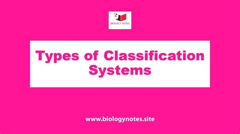 Image result for Classification System Definition and Examples