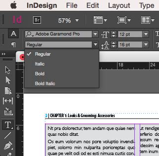 Image result for Text Insert InDesign