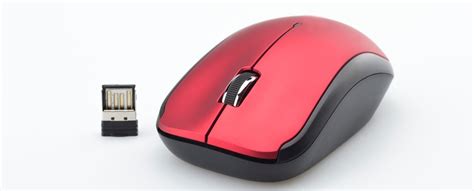 Image result for Mouse Function Wikipedia