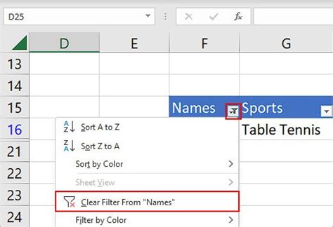 Image result for Excel Basic Auto Filters