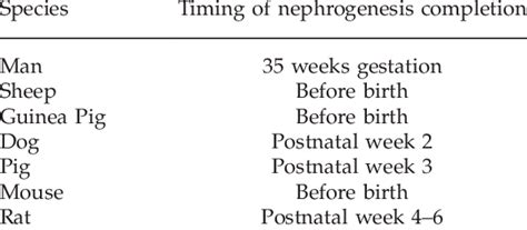 Image result for Nephrogram Phase Timing
