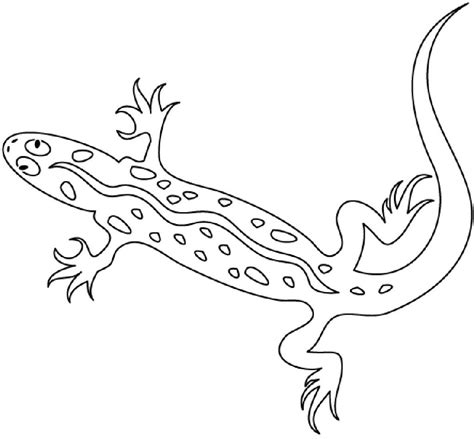Image result for Lizard Coloring Pages
