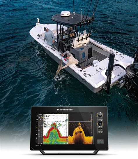 Image result for Humminbird Semi Colon