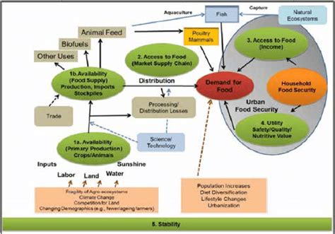 Image result for Food Security Working Model