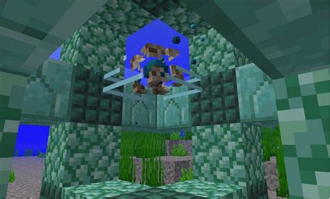 Image result for Minecraft Conduit Real