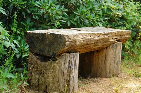 Image result for Tree Bench