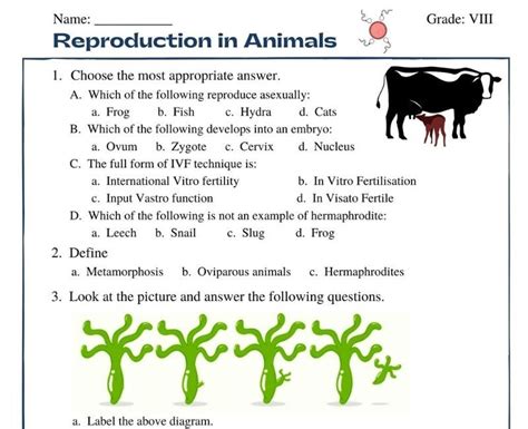 Image result for Reproduction in Animals Science Class 8 Worksheet