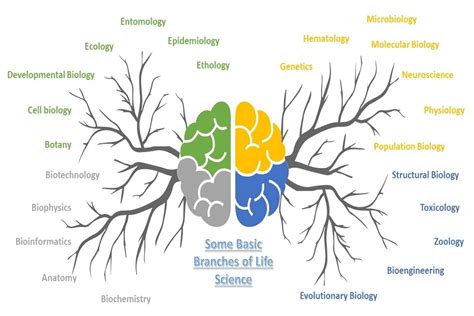 Image result for Life Science Definition