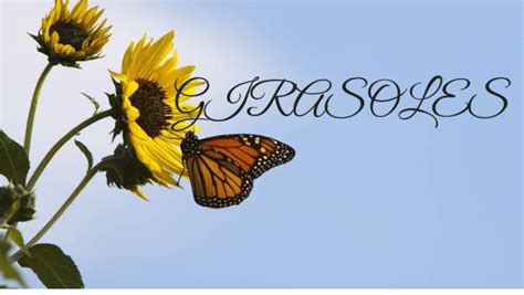 Image result for Interactive Creativity