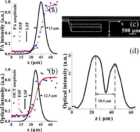 Image result for Oct Axial Resolution