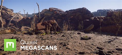 Image result for Quixel Megascans Objects