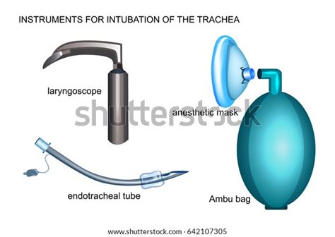 Image result for Digital Intubation