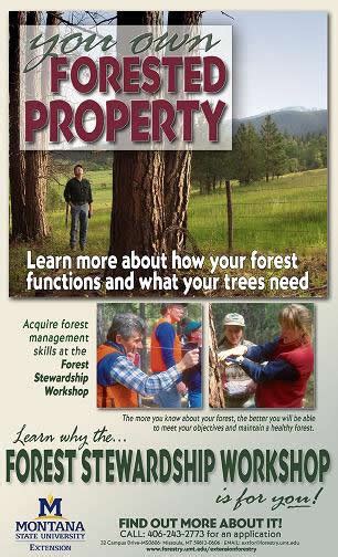 Image result for Forest Stewardship Program