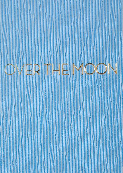 Image result for Over the Moon First Class