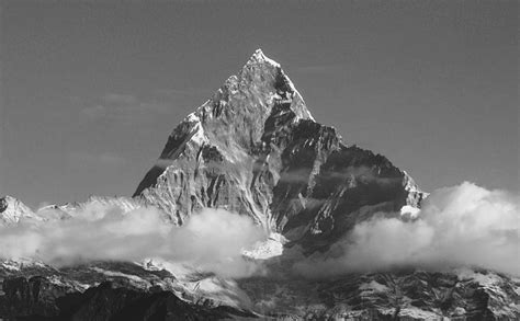 Image result for API Development for WebEOC