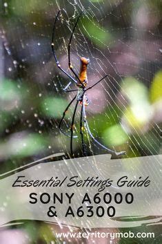 Image result for Sony A6000 User Guide