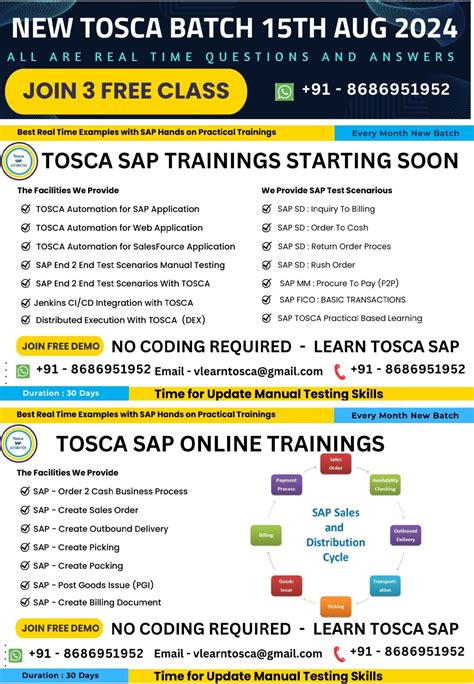 Image result for SAP Testing Using Tosca