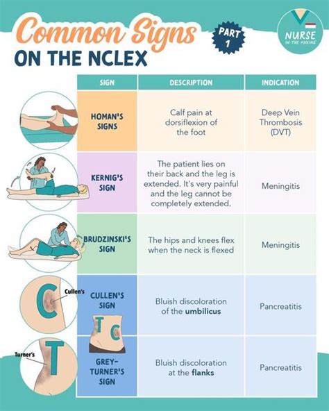 Image result for Positive Homans Sign