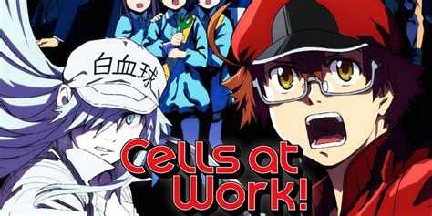 Image result for Cells at Work Net TV