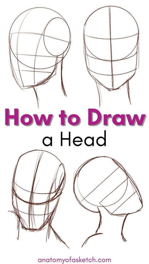 Image result for Simple Head Tutorial