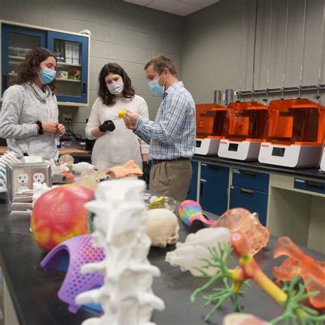 Image result for C4D Medical Modeling