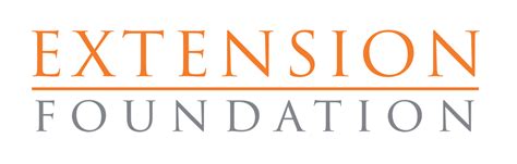 Image result for Extension Project