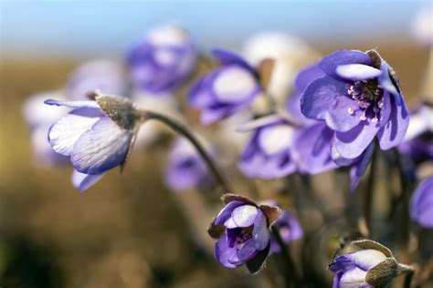 Image result for 369 Manifest Method Example