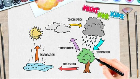 Image result for Water Cycle Step by Step Drawing