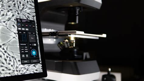 Image result for Scientific Revolution Microscope