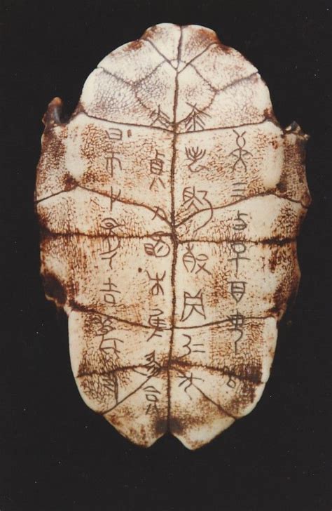 Image result for Oracle Bone Script to Modern Chinese Evolution