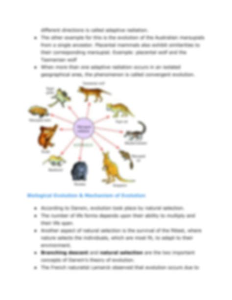 Image result for Download Grade 12 Life Science Study Guide Evolution