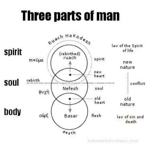 Image result for Holy Trinity Explained