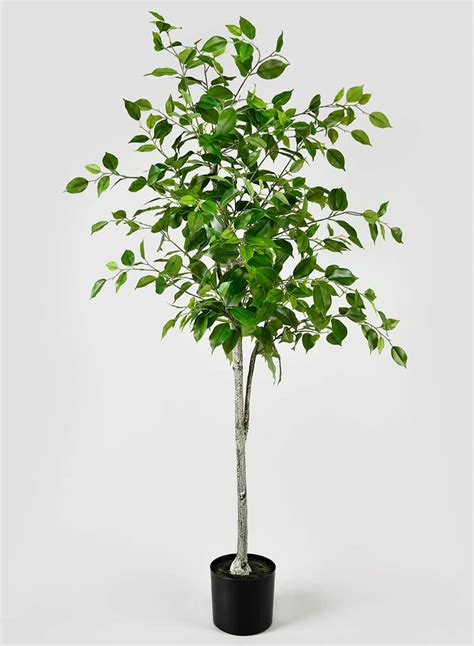 Image result for Fake Ficus Tree