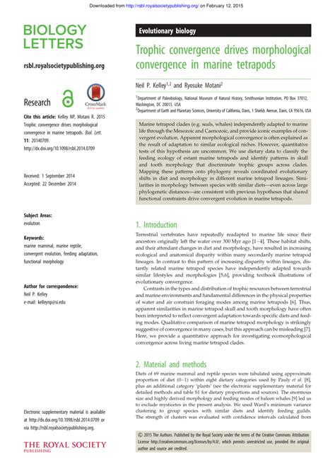 Image result for Morphological Convergence Examples