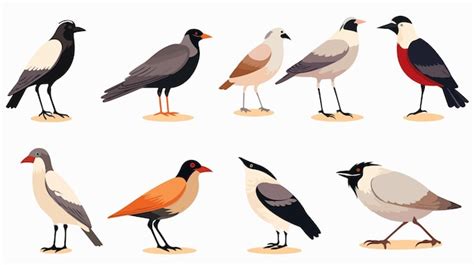 Image result for Bird Vector Question Class 11th