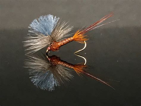 Image result for Red Quill Fly Pattern