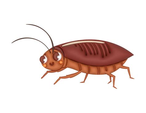 Image result for Cockroach Cartoon Images
