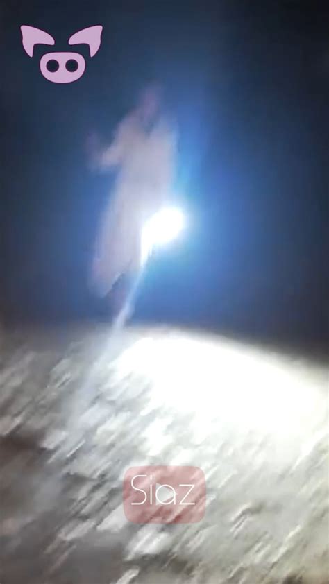 Image result for Paranormal Creatures Slapped Ham