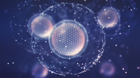 Image result for Yamanaka Discovered Cellular Reprogramming