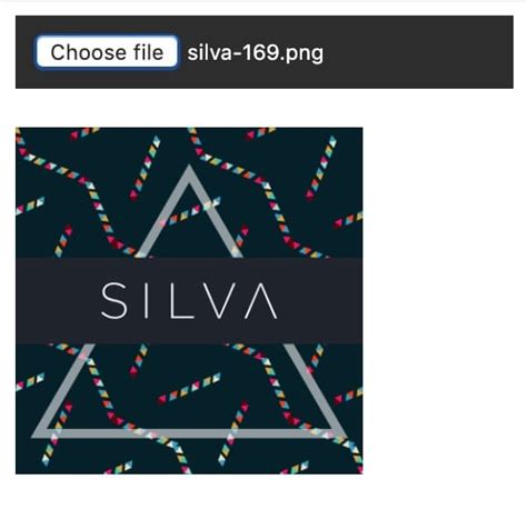 Image result for Custom File Input with Preview