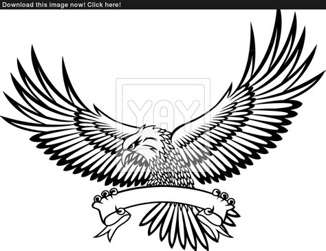 Image result for Hawk Drawing Easy Cartoon